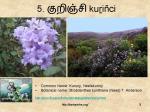 99 Tamil flowers – Kurunji paatu – flowers 1-10 – கற்க… நிற்க
