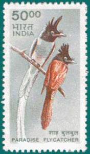 Tamil Birds – Different types of kuruvi – Part 1 – கற்க… நிற்க